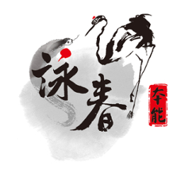 Ving Tsun Kung Fu Basics
