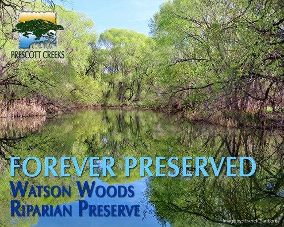 Social Events/Trips/Interludes